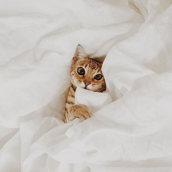 The Sweave Difference