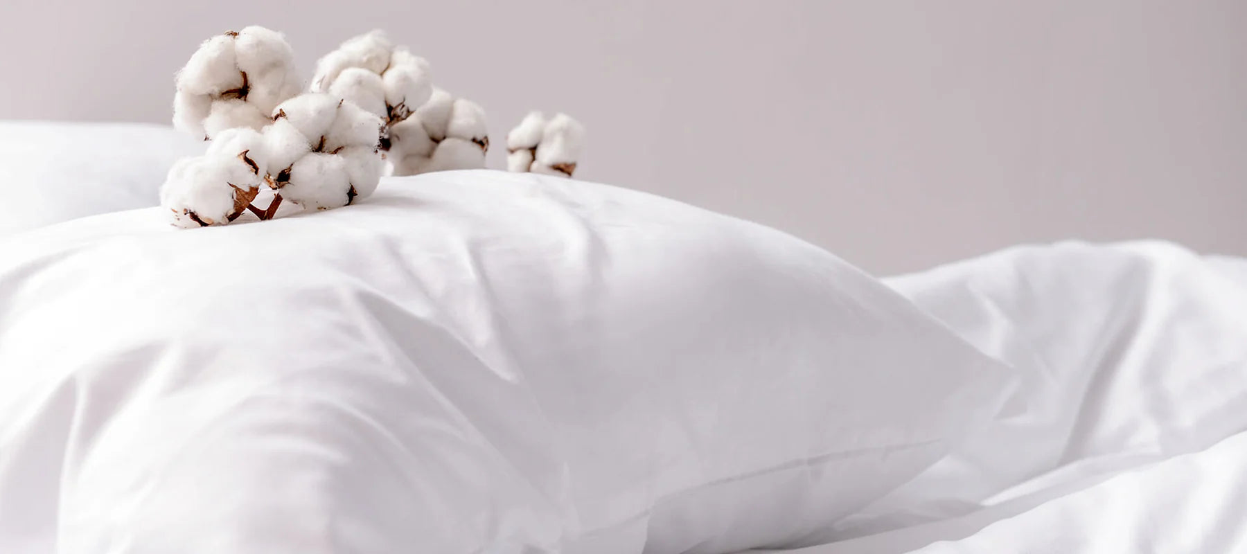 Cotton Sheets Collection | The Linen Company USA